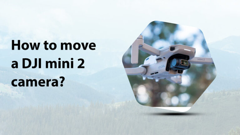 How to move a DJI mini 2 camera? | sky eagle drone