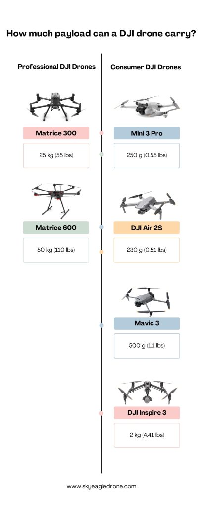 Can DJI Drones Carry Things? [8 drone models] | sky eagle drone